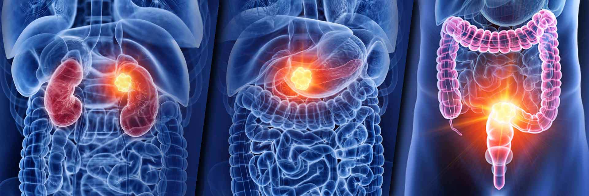 DISCERN: Photo Gallery